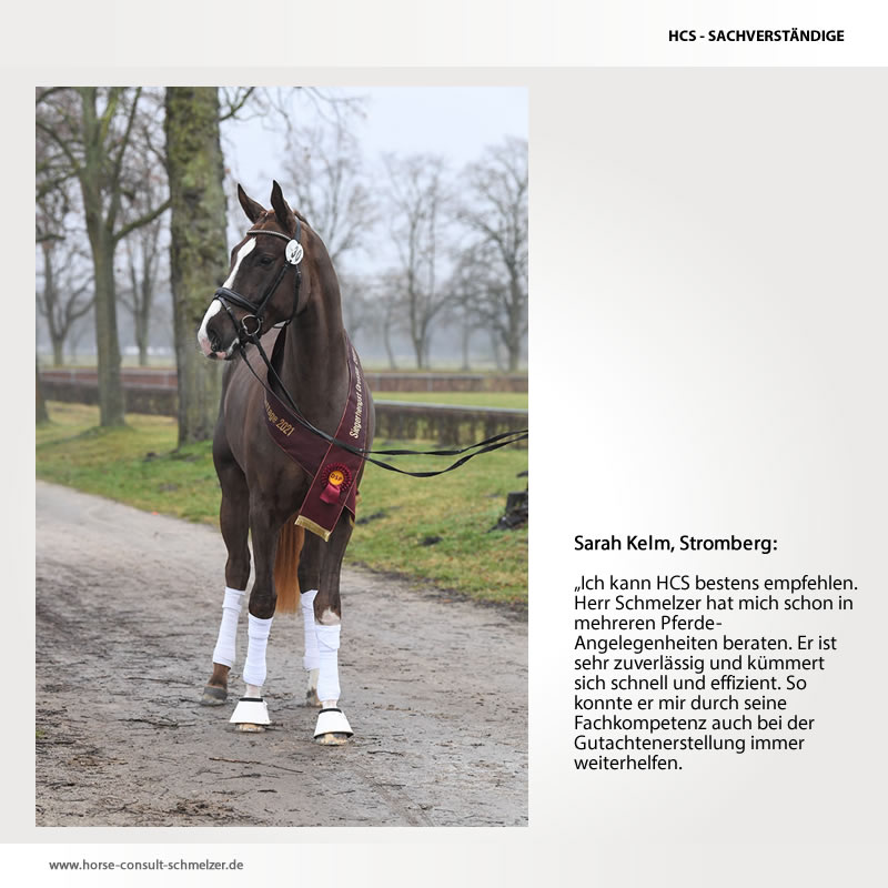 HCS - PferdeGutachter | Pferde Gutachter, Gutachter f. Pferde ...